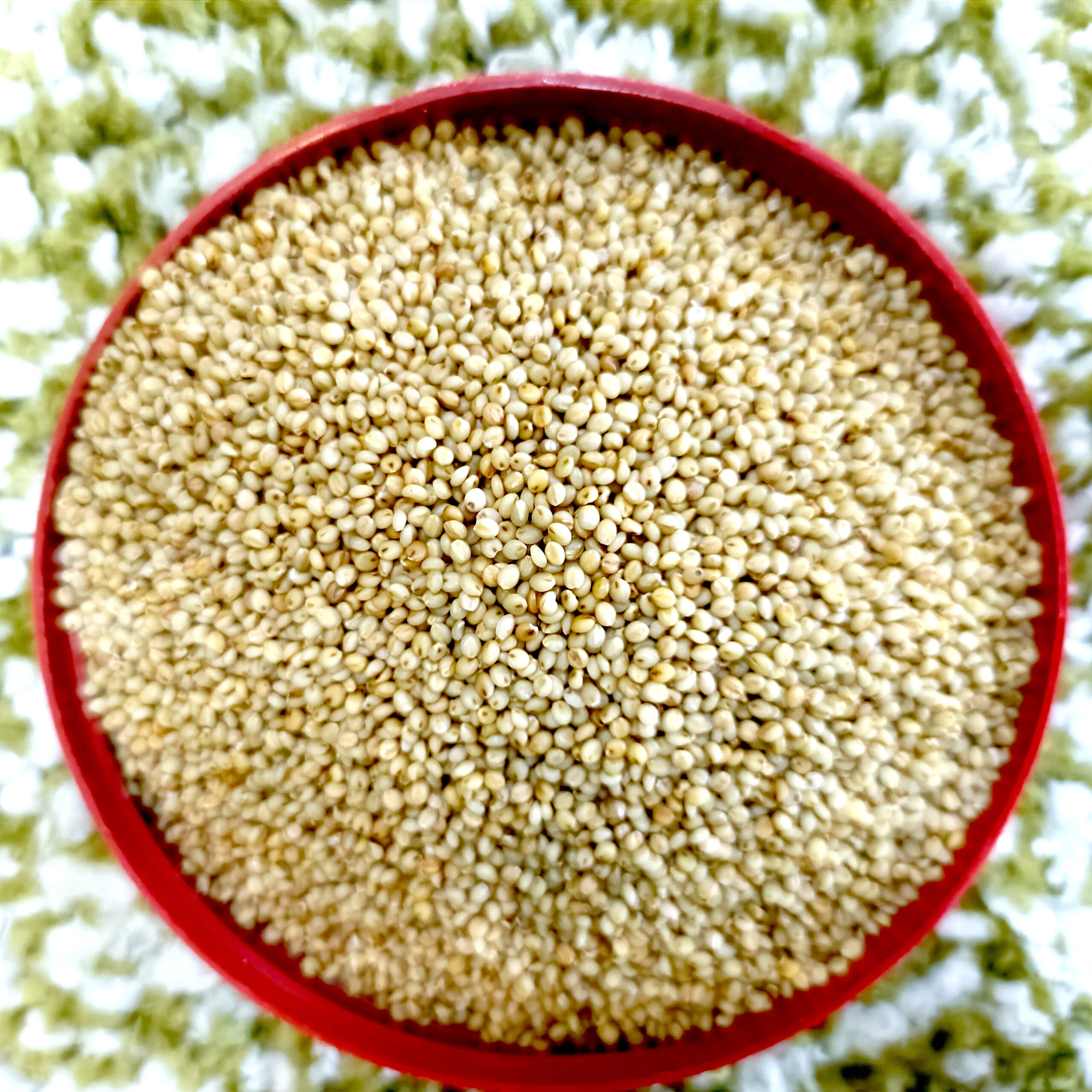 BROWNTOP MILLET RICE 1KG - Bengal Naturals